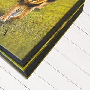 Painted Edges, Gilded Edges, and Patterned Edges Book Printing
