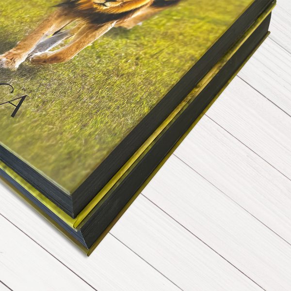 Painted Edges, Gilded Edges, and Patterned Edges Book Printing